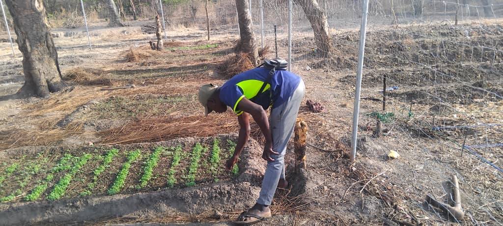 Pictures: SWIDA-Ghana Empowering Women, Nourishing Communities!